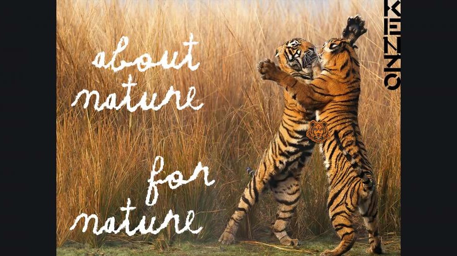 Kenzo announces partnership with World Wide Fund for Nature (WWF)