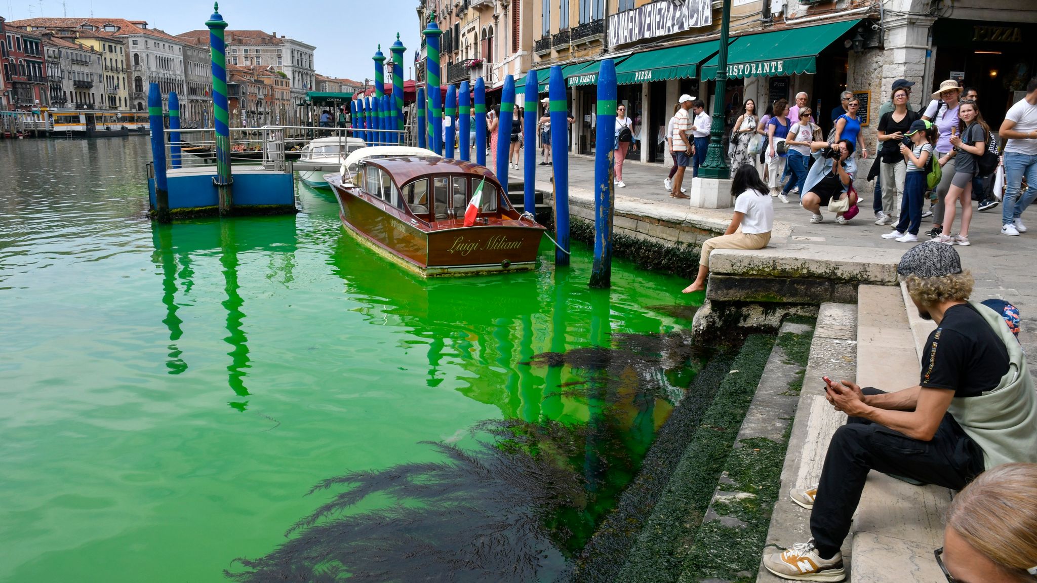 The Mysterious Bright Green Turning of Venice Canal